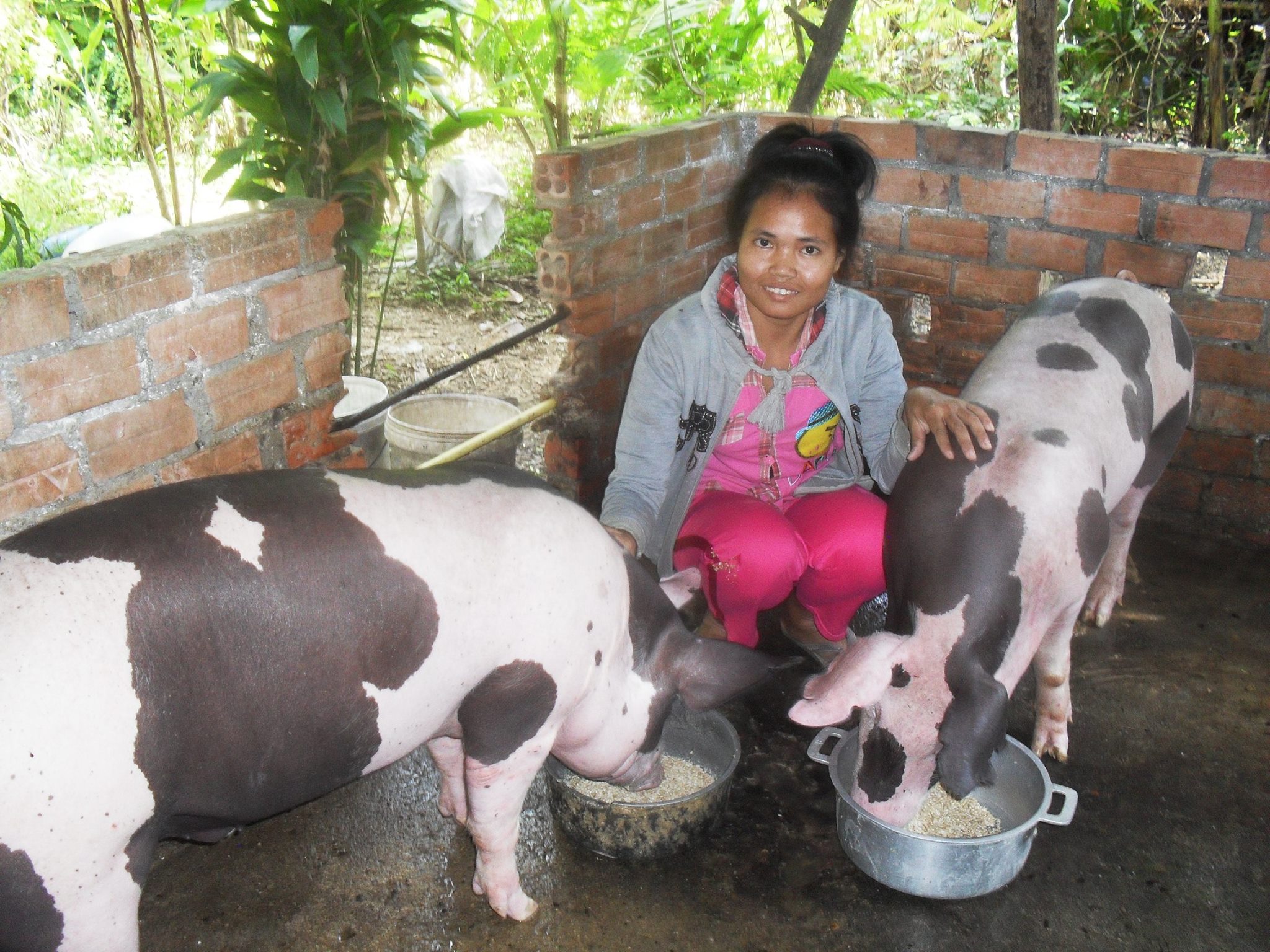 This little piggy… – Deaf Development Programme